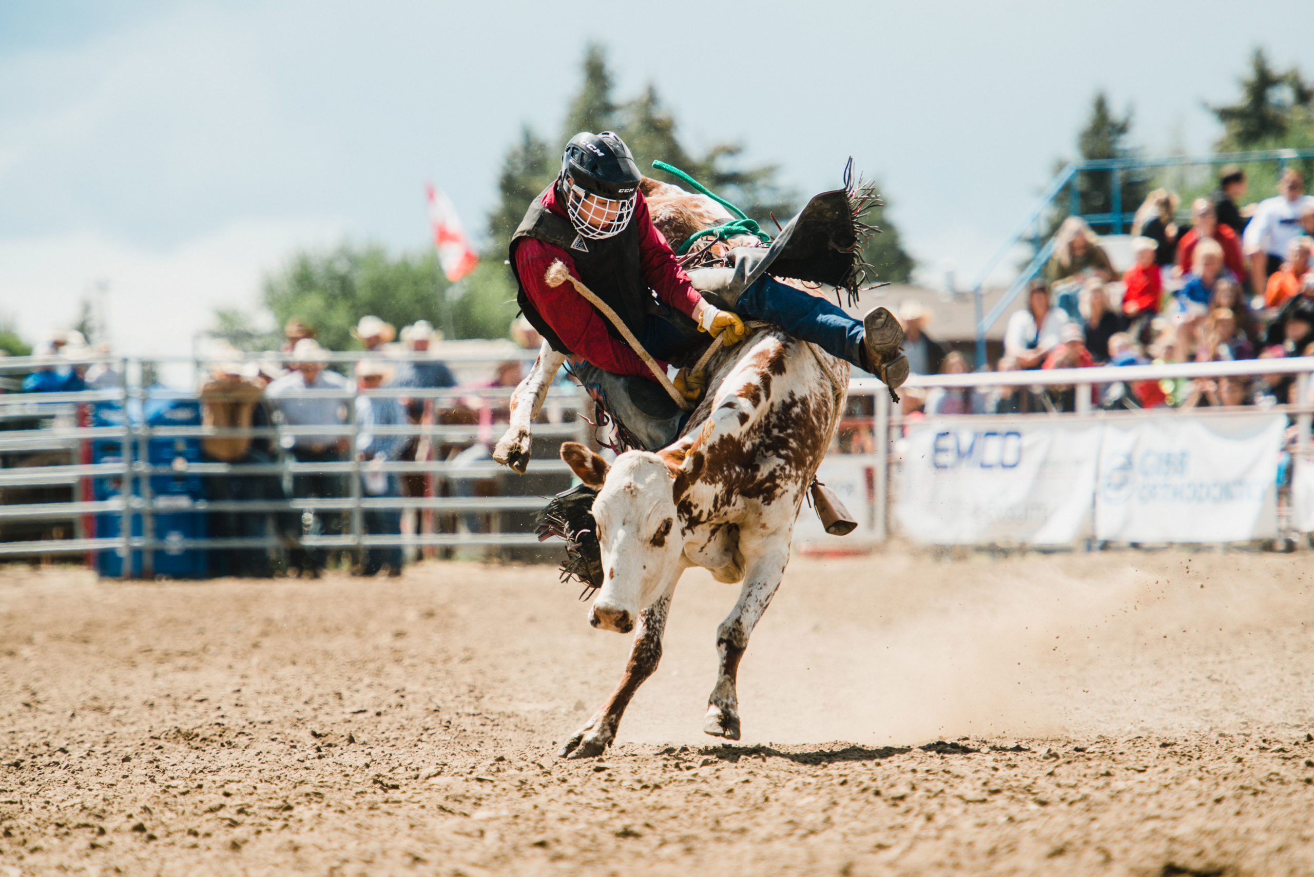 Delving into Southern Alberta's Cultural and Historical Legacy